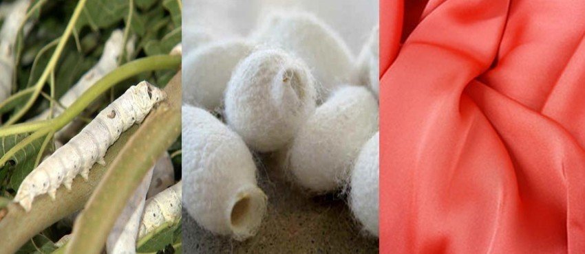 Tecidos De Fibras Naturais Loja Principessa